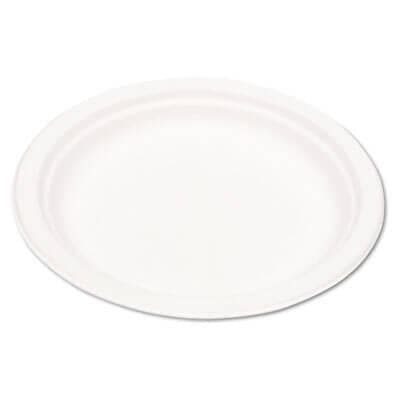 Compostable Plates - Eco-friendly Dinnerware, 9" White
